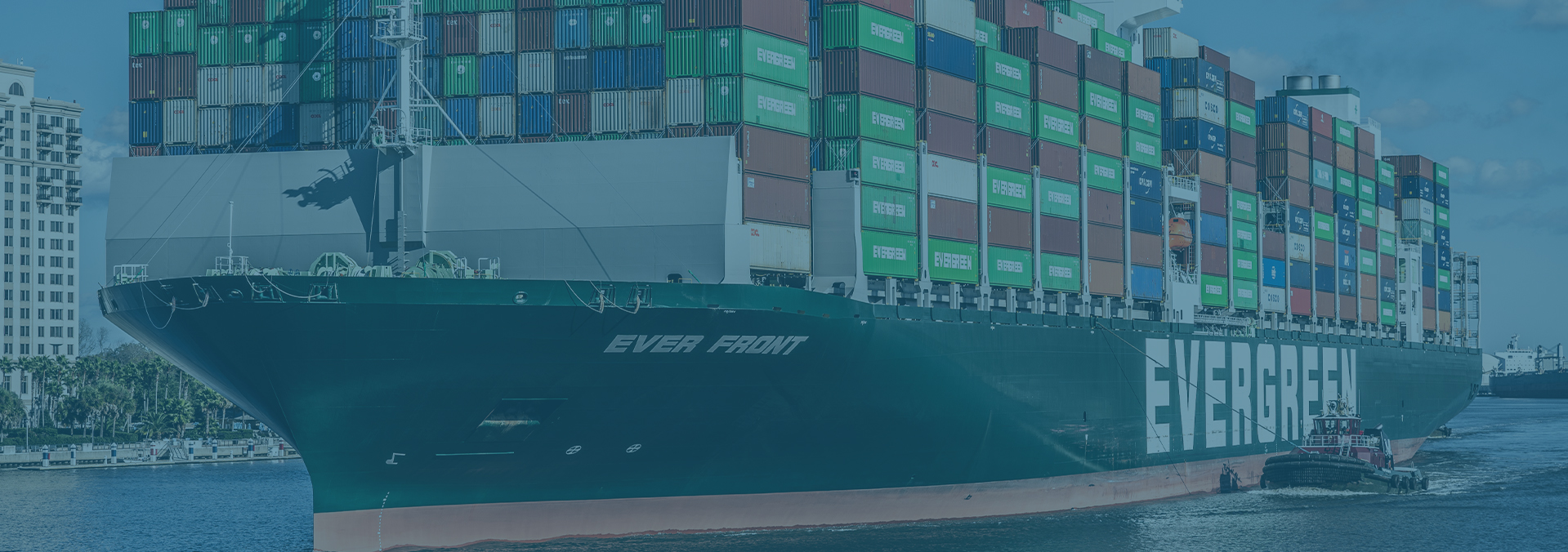 Trusted Customs Clearance Solutions in Sydney, Australia | Ninja Logistics